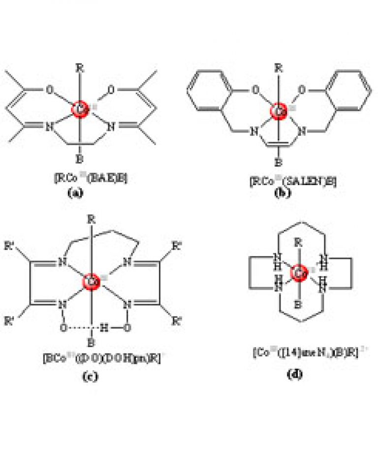 Vitamin B12 Coenzyme and its Model Compounds - Amrita Vishwa Vidyapeetham