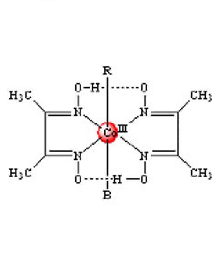 Vitamin B12 Coenzyme and its Model Compounds - Amrita Vishwa Vidyapeetham