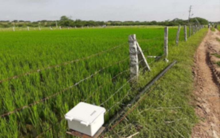 Intelligent, Animal Attack Prevention System for Crop Protection ...