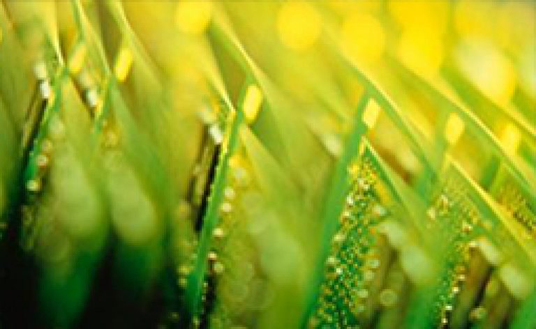 Center of Excellence in Advanced Materials and Green Technologies ...