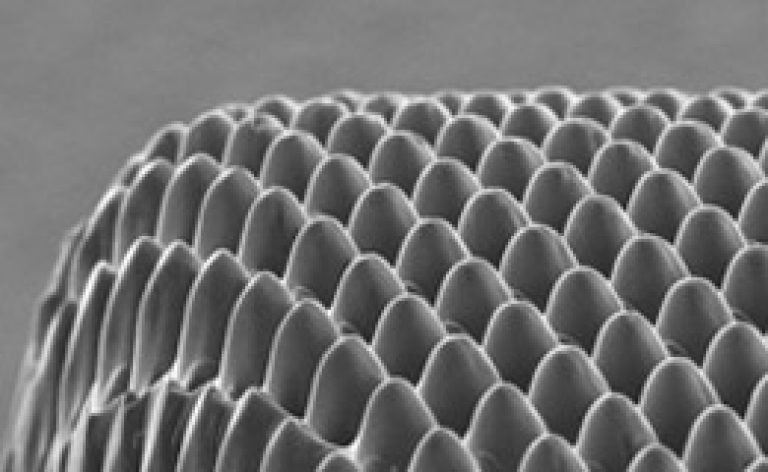 Development of Laser Surface Texturing technology for automotive ...