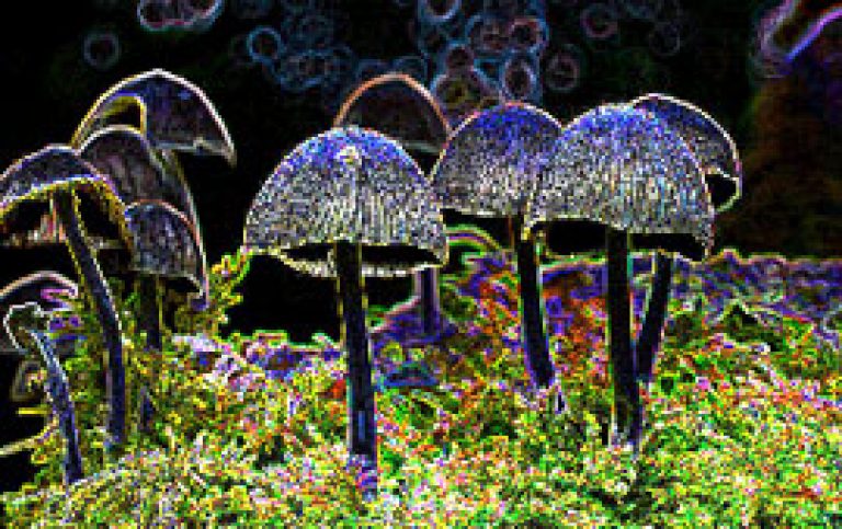 Parallelizing Low Vision Feature Extraction Through Gpus Amrita Vishwa Vidyapeetham