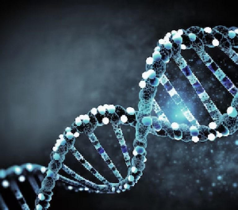 Best Universities for Ph.D. in Life Sciences in Kerala | Amrita Vishwa ...