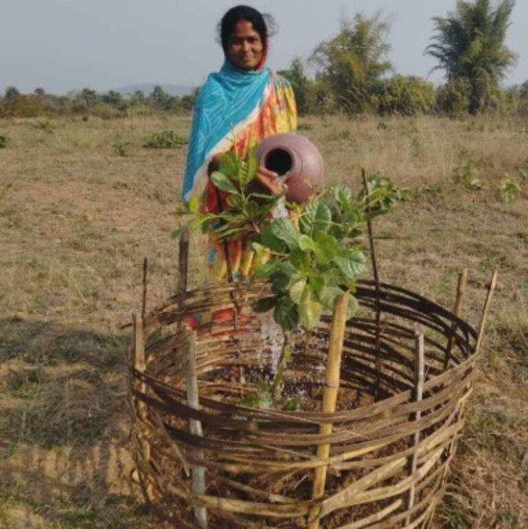 WADI-news - Amrita Vishwa Vidyapeetham